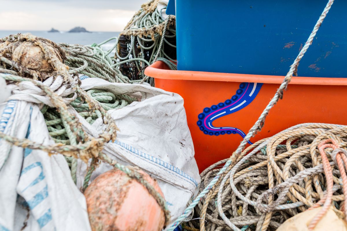 Ferguson's Gang | Client: The National Trust | Supple Studio