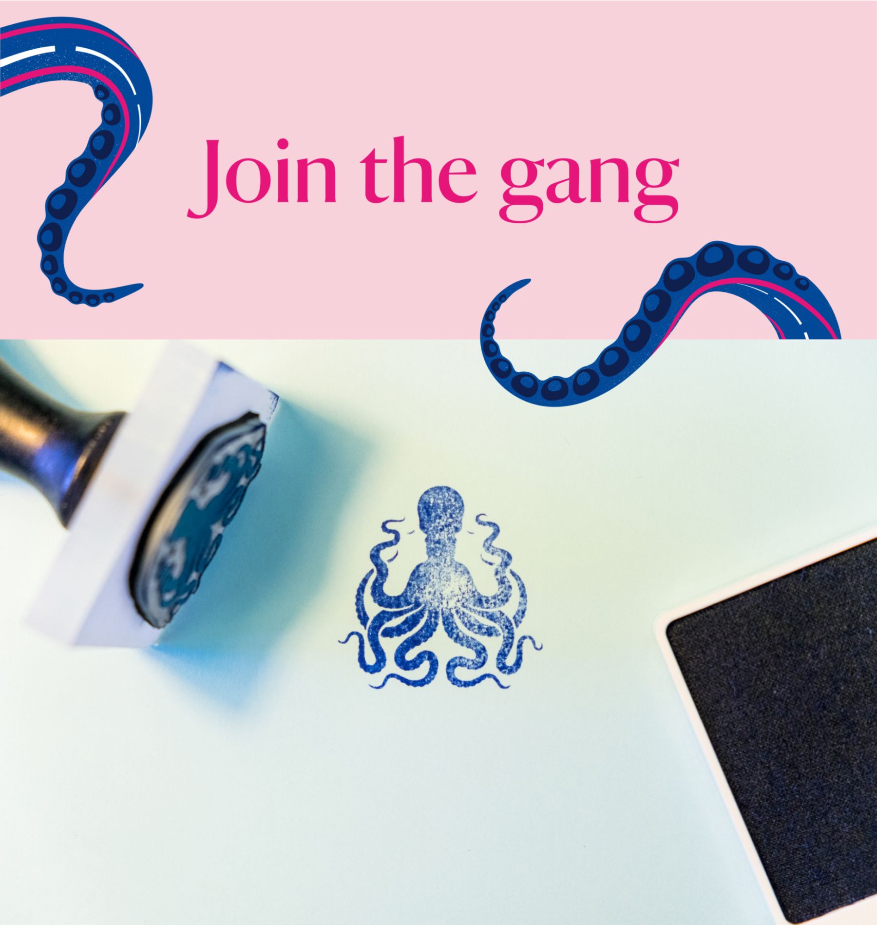 Ferguson's Gang | Client: The National Trust | Supple Studio